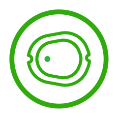 Dexcom G7 Landing Page